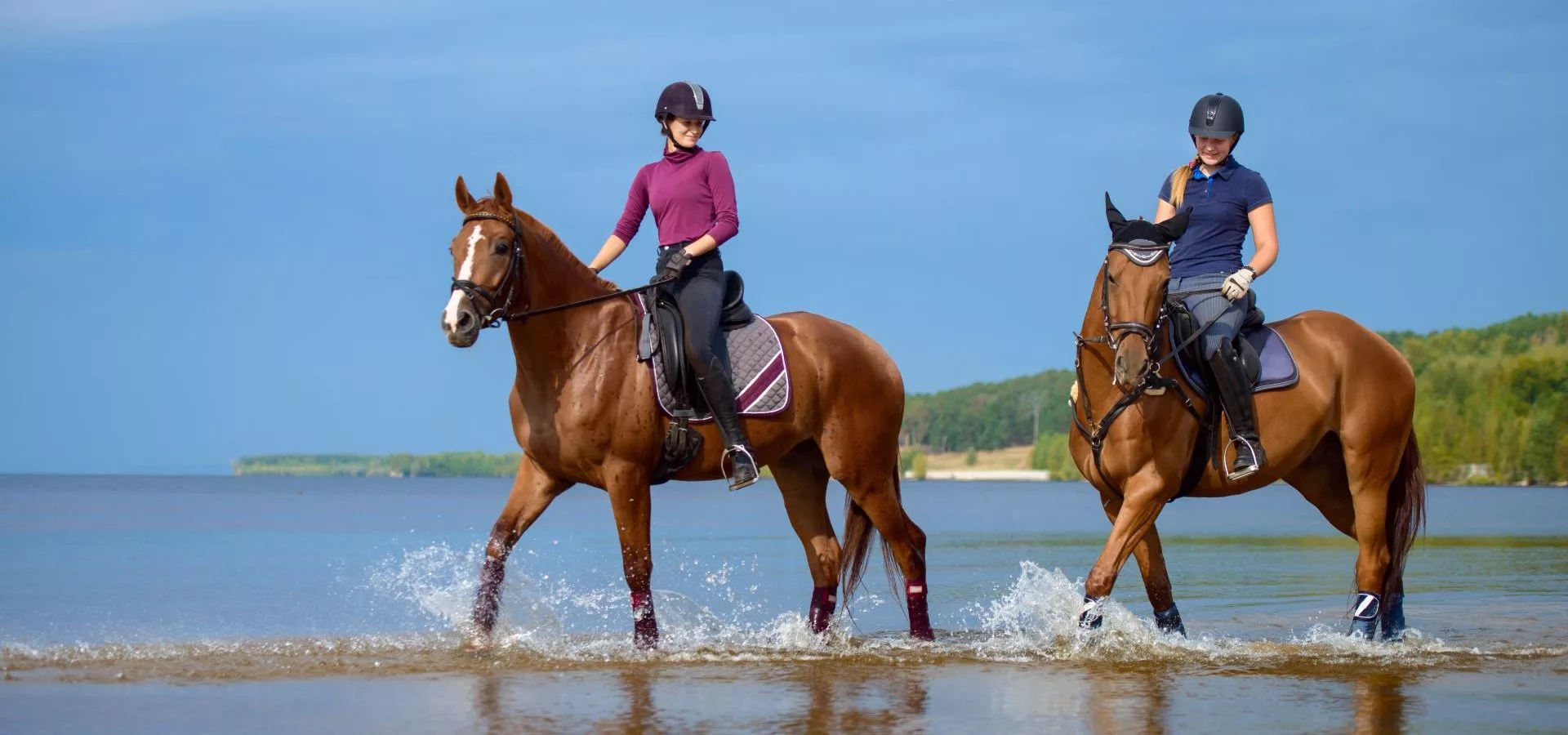 Out & About | Places To Visit Wexford | Kelly's Resort Hotel & Spa