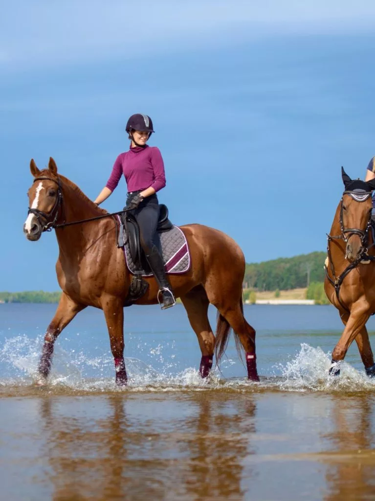 Out & About | Places To Visit Wexford | Kelly's Resort Hotel & Spa