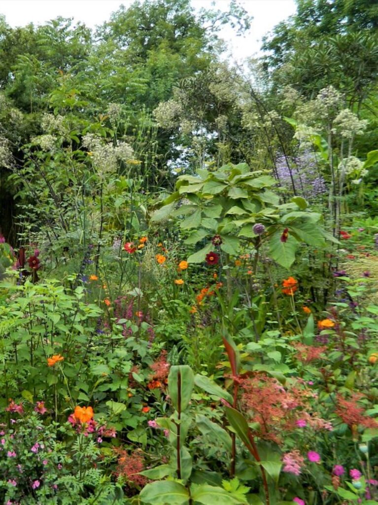 Autumn Gardening Midweek | Gardening Courses | Kelly's Resort