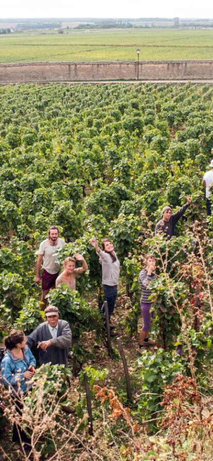 Wine Tasting | Spring Activities | Kelly's Resort Hotel